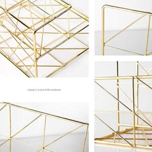 Magazine Rack Wall Wrought Iron Bookshelf Gold Shelf Living Room Creative Home Wall Magazine Storage Rack Best Gift (Color : Gold, Size : 251220cm)