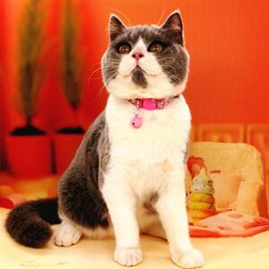 THAIN Basic Adjustable Cat Collar Bling Diamond Breakaway with Bell for Kitten Girl boy (Pink)