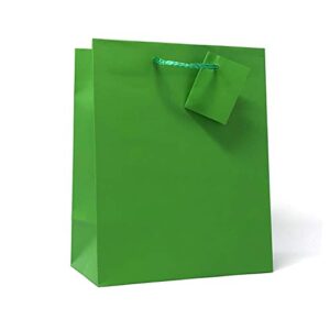 allgala 12pk value premium solid color paper gift bags (09" med-green-gp50071)