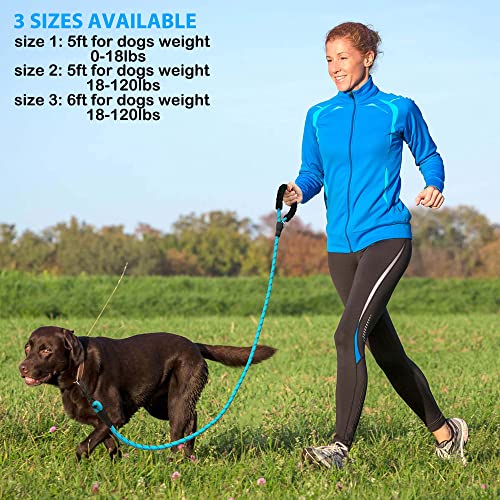 ladoogo 2 Pack 5 FT Heavy Duty Dog Leash with Comfortable Padded Handle Reflective Dog leashes for Medium Large Dogs