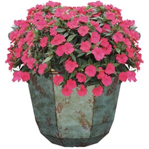 Classic Home and Garden 9010D-379R Premiere Collection Planter, Rosie 10", Northern Lights