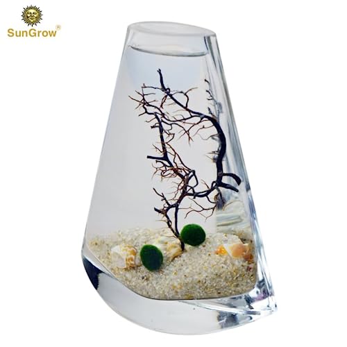 SunGrow Betta Fish, African Frog & Hermit Crab Aquarium Sea Fan, Tank Decoration, Sea Willow Aquarium Décor