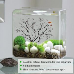 SunGrow Betta Fish, African Frog & Hermit Crab Aquarium Sea Fan, Tank Decoration, Sea Willow Aquarium Décor