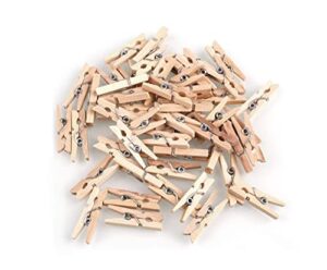 natural wood mini clothespins for crafts or interior decorating. cute clothes pins in bulk (500, 1 inch)