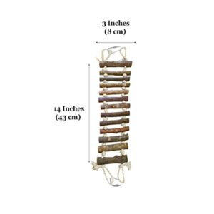 SunGrow Gecko Wooden Ladder Bridge, 14” Customizable, Versatile Enrichment Exercise Gym, Increase Living Vertical Space for Geckos, Hermit Crabs, and Pocket Pets