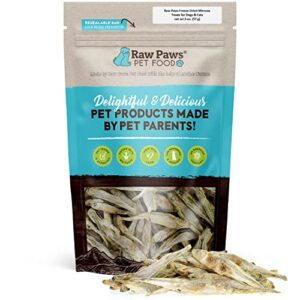 raw paws pet freeze dried minnows for dogs & cats, 2-oz - usa fish dog treats - all natural, single ingredient minnow cat treats - raw freeze dried dog snacks - grain free cat reward