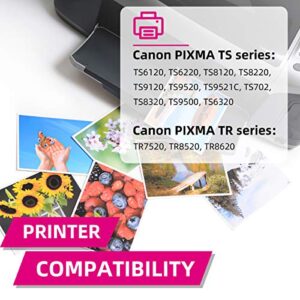 Intactech Compatible Ink Cartridge Replacement for Canon CLI-281 XXL Cyan Ink Tank CLI-281 C Work with Pixma TS6120 TS8120 TR7520 TR8520 TS9120 TS6220 TS8220 TS9520 TS9521C TS702 Printers (1 PK)