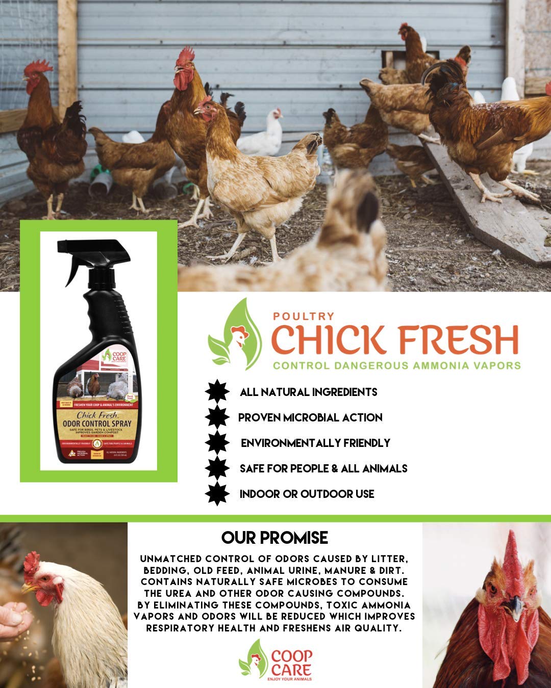 Coop Care Chick Fresh - Odor Control Spray for Backyard Chickens. Eliminator of Chicken Coop & Brooders Odor & Ammonia! 24 oz Poultry Spray Bottle Poultry Supplies from