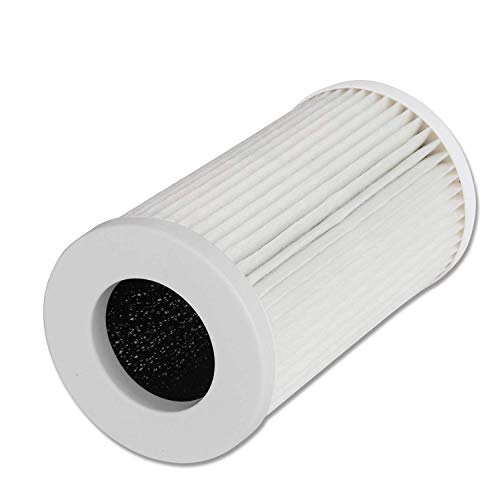 QUEENTY True HEPA Filter - Replacement Air Purifier Filter for QUEENTY F001 Air Purifier(Filter)