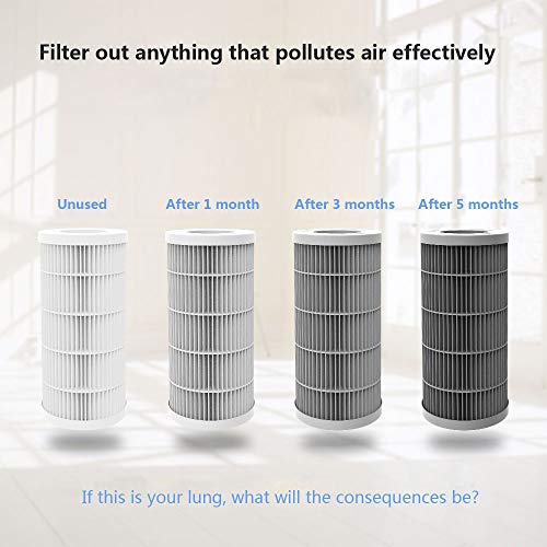 QUEENTY True HEPA Filter - Replacement Air Purifier Filter for QUEENTY F001 Air Purifier(Filter)