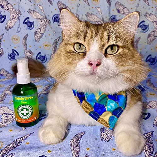 Meowijuana | 3 Oz. Premium Catnip Spray | Organic | High Potency | Use On Cat Toys, Teasers, and Scratchers | Grown in The USA | Feline and Cat Lover Approved