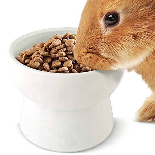 SunGrow Rabbit, Silkie Chicken & Ferret Bowl with Stand, Helps Pet Chicken & Duck to Drink Water, Elevated Ceramic Feeder and Water Dish for Small Pets