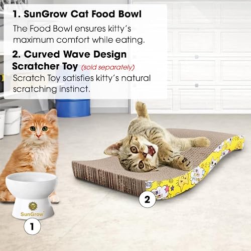 SunGrow Rabbit, Silkie Chicken & Ferret Bowl with Stand, Helps Pet Chicken & Duck to Drink Water, Elevated Ceramic Feeder and Water Dish for Small Pets