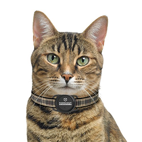 Pawscout Smarter Pet Tag (Version 2.5) for Cats & Dogs, Nearby Bluetooth Pet Tracking (not GPS), Community Pet Finder, Walk Diary, Outdoor Virtual Pet Leashes, Digital Medical Profiles