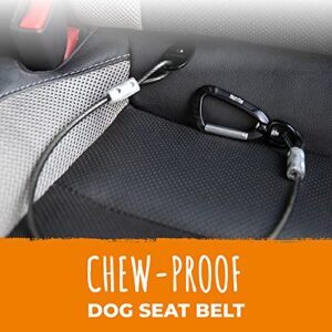 Mighty Paw Dog Seat Belt - Chew Proof Metal Pet Safety Belt, Steel Braided Vehicle Restraint, No Chew Tether Seatbelt with Rock Climbers Carabiner (Black, 60cm)