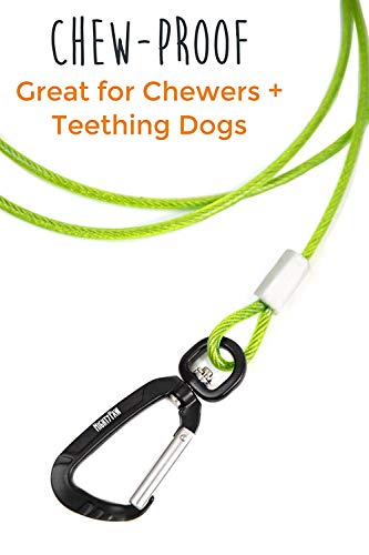 Mighty Paw Chew Proof Dog Leash - Six Foot Metal Cable Lead, Non Chewable Braided Cord with Padded Handle. Chew Resistant, Great for Large Dogs and Teething Puppies (Green)