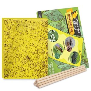 kensizer 20-pack fruit fly trap, yellow sticky gnat traps killer for indoor/outdoor flying plant insect like fungus gnats, whiteflies, aphids, leaf miners - 6x8 in, twist ties included