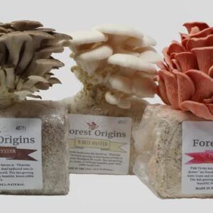 Forest Origins Specialty Trio Oyster Mushroom Grow Kit 3-Pack Variety - Beginner Friendly & Easy to Use, Grows in 10 Days | Handmade in California, USA | Top Gardening Gift, Holiday Gift & Unique Gift