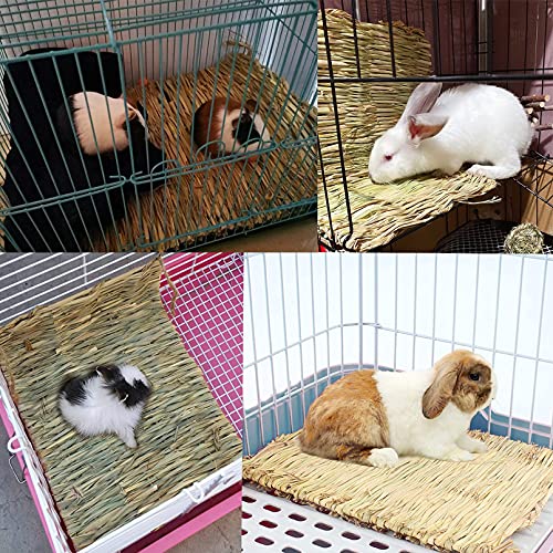 Tfwadmx Rabbit Grass Mat,16.5''x11'' Large Natural Woven Seagrass Mat Bunny Bed Chew Mat Sleep for Chinchillas Guinea Pigs Ferret Guinea-Pig and Small Animals -2 Pcs