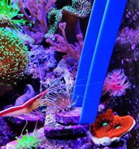 Aquarium Choice Coral Feeder Long Syringe Reef Feeder SPS HPS Marine Reef Coral Feeder Tool Fish Excreta Cleaner (11.8 inch Coral Tweezers Never Rust)