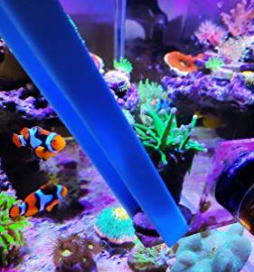 Aquarium Choice Coral Feeder Long Syringe Reef Feeder SPS HPS Marine Reef Coral Feeder Tool Fish Excreta Cleaner (11.8 inch Coral Tweezers Never Rust)