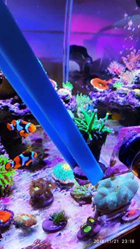 Aquarium Choice Coral Feeder Long Syringe Reef Feeder SPS HPS Marine Reef Coral Feeder Tool Fish Excreta Cleaner (11.8 inch Coral Tweezers Never Rust)