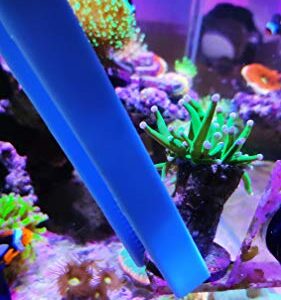 Aquarium Choice Coral Feeder Long Syringe Reef Feeder SPS HPS Marine Reef Coral Feeder Tool Fish Excreta Cleaner (11.8 inch Coral Tweezers Never Rust)