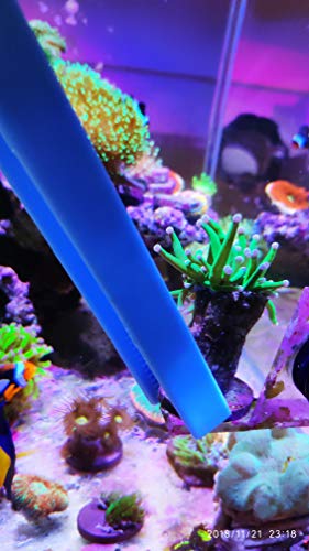 Aquarium Choice Coral Feeder Long Syringe Reef Feeder SPS HPS Marine Reef Coral Feeder Tool Fish Excreta Cleaner (11.8 inch Coral Tweezers Never Rust)