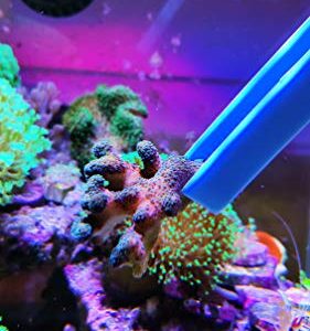 Aquarium Choice Coral Feeder Long Syringe Reef Feeder SPS HPS Marine Reef Coral Feeder Tool Fish Excreta Cleaner (11.8 inch Coral Tweezers Never Rust)