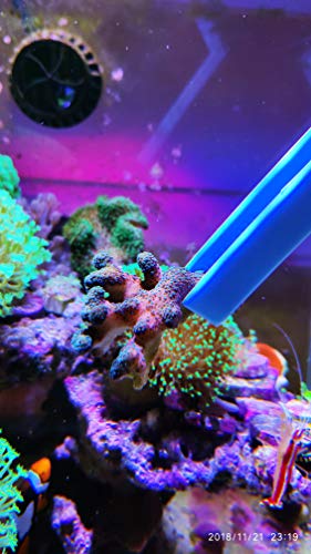 Aquarium Choice Coral Feeder Long Syringe Reef Feeder SPS HPS Marine Reef Coral Feeder Tool Fish Excreta Cleaner (11.8 inch Coral Tweezers Never Rust)