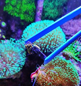 Aquarium Choice Coral Feeder Long Syringe Reef Feeder SPS HPS Marine Reef Coral Feeder Tool Fish Excreta Cleaner (11.8 inch Coral Tweezers Never Rust)