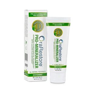 pro-mineralizer toothpaste - nano hydroxyapatite & enamel support toothpaste w/xylitol aloe vera & sea salt - anti cavity & fluoride free nanohydroxyapatite toothpaste - dentist formulated toothpaste