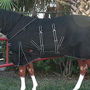 HILASON Medium 1200D Winter Waterproof Horse Neck and Body Blanket -72 Inches | Horse Blanket | Horse Blankets for Winter Waterproof | Horse Turnout Blanket | Horse Turnout