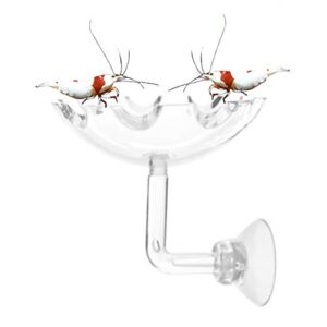 jzmyxa shrimp feeding dish shrimp feed dish, high transparent acrylic material