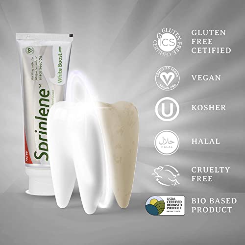 SprinJene Natural Teeth Whitening Toothpaste with Fluoride, SLS Free with Black Seed Oil & Zinc for Cavity Protection Dry Mouth, Fresh Breath Cruelty-Free, Gluten Free 2 Pack (White Boost)