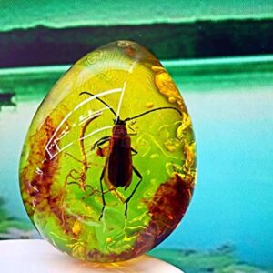 VORCOOL Amber Fossil with Insects Samples Stones Crystal Specimens Home Decorations Collection Oval Pendant for Kids (Random Pattern，8 x 6 x 1.8cm,1pc)