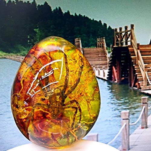 VORCOOL Amber Fossil with Insects Samples Stones Crystal Specimens Home Decorations Collection Oval Pendant for Kids (Random Pattern，8 x 6 x 1.8cm,1pc)