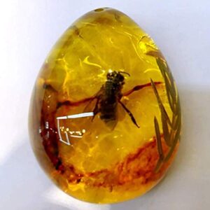 VORCOOL Amber Fossil with Insects Samples Stones Crystal Specimens Home Decorations Collection Oval Pendant for Kids (Random Pattern，8 x 6 x 1.8cm,1pc)