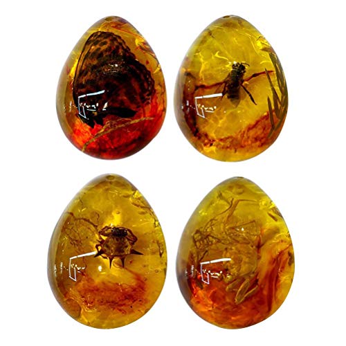 VORCOOL Amber Fossil with Insects Samples Stones Crystal Specimens Home Decorations Collection Oval Pendant for Kids (Random Pattern，8 x 6 x 1.8cm,1pc)