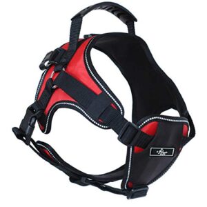 Doggie Stylz Multi-Functional Full-Body Lifting Dog Harness Vest, Designed for Front-Only, Rear-Only or Full-Body Dog Lifting