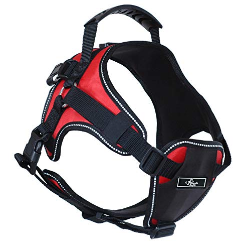 Doggie Stylz Multi-Functional Full-Body Lifting Dog Harness Vest, Designed for Front-Only, Rear-Only or Full-Body Dog Lifting