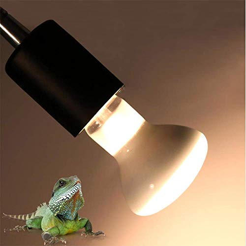 MD Lighting MaoTopCom 100W Basking Spot Heat Lamp Bulbs(2 Pack), 110V Reptile Mercury Vapor Bulbs Soft White Poly Sand Light Dome Bulb for Reptile and Amphibian Use, as Tortoise Lizard