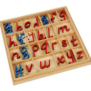 LEADER JOY Montessori Materials Language Small D Nealian Wooden Moveable Alphabet with Box