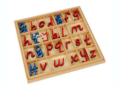 LEADER JOY Montessori Materials Language Small D Nealian Wooden Moveable Alphabet with Box