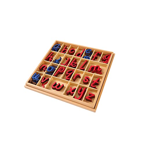 LEADER JOY Montessori Materials Language Small D Nealian Wooden Moveable Alphabet with Box