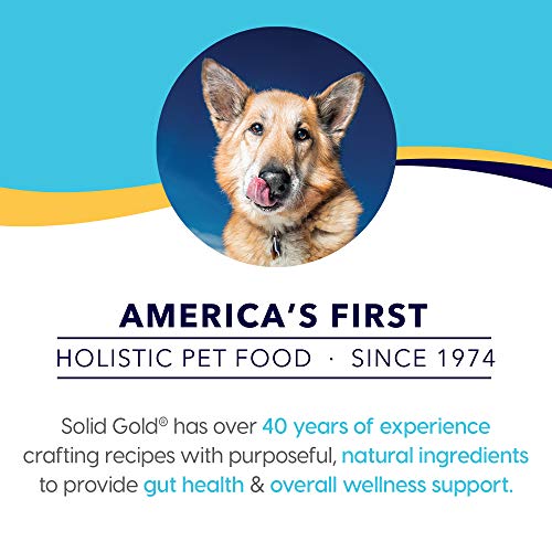 Solid Gold Wet Dog Food for Adult & Senior Dogs - Made with Real Chicken & Salmon - Leaping Waters Grain Free Canned Dog Food for Healthy Digestion & Sensitive Stomach