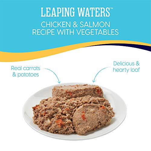 Solid Gold Wet Dog Food for Adult & Senior Dogs - Made with Real Chicken & Salmon - Leaping Waters Grain Free Canned Dog Food for Healthy Digestion & Sensitive Stomach