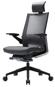 sidiz t80 ergonomic home office chair : german mechanism for extreme comfort, adjustable headrest and lumbar support, 3-way armrests, forward tilt adjustment, adjustable seat depth, mesh back (black)