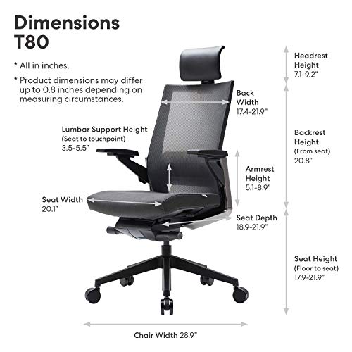 SIDIZ T80 Ergonomic Home Office Chair : German Mechanism for Extreme Comfort, Adjustable Headrest and Lumbar Support, 3-Way Armrests, Forward Tilt Adjustment, Adjustable Seat Depth, Mesh Back (Black)