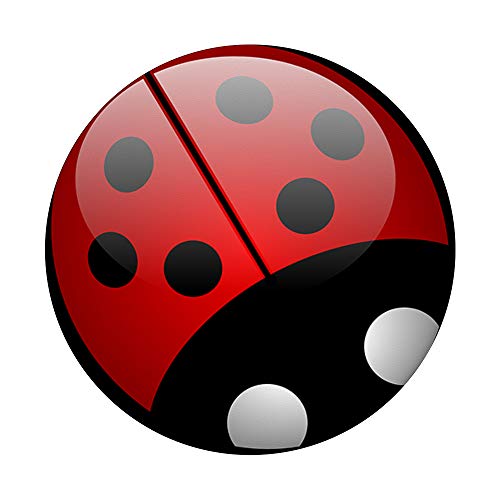 Cute Ladybug Insect PopSockets PopGrip: Swappable Grip for Phones & Tablets